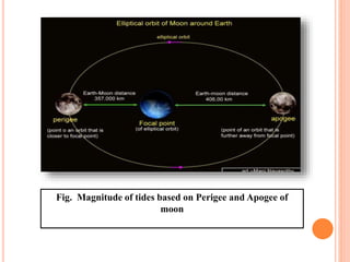 ocean tide ppt pragati.pptx
