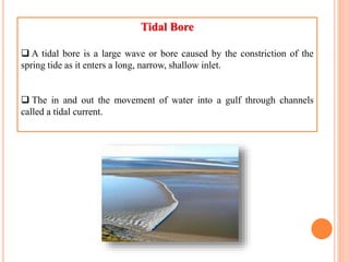 ocean tide ppt pragati.pptx