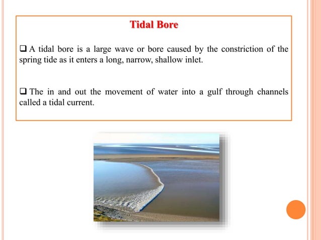 ocean tide ppt pragati.pptx | Geography | Science