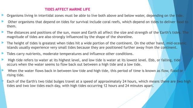 Ocean tides, types and theories | PPTX | Geography | Science