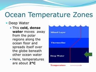 Ocean Water and Currents PPT LESSON | PPTX