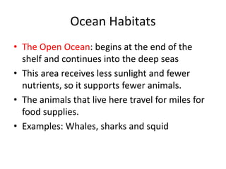 Ocean Zones and Life | PDF