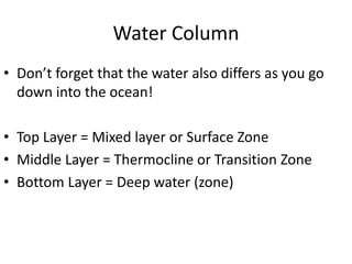 Ocean Zones and Life | PDF