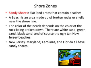 Ocean Zones and Life | PDF