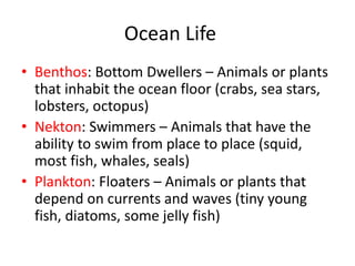 Ocean Zones and Life | PDF
