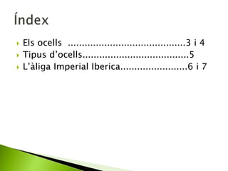 Ocells 5è A | PPTX