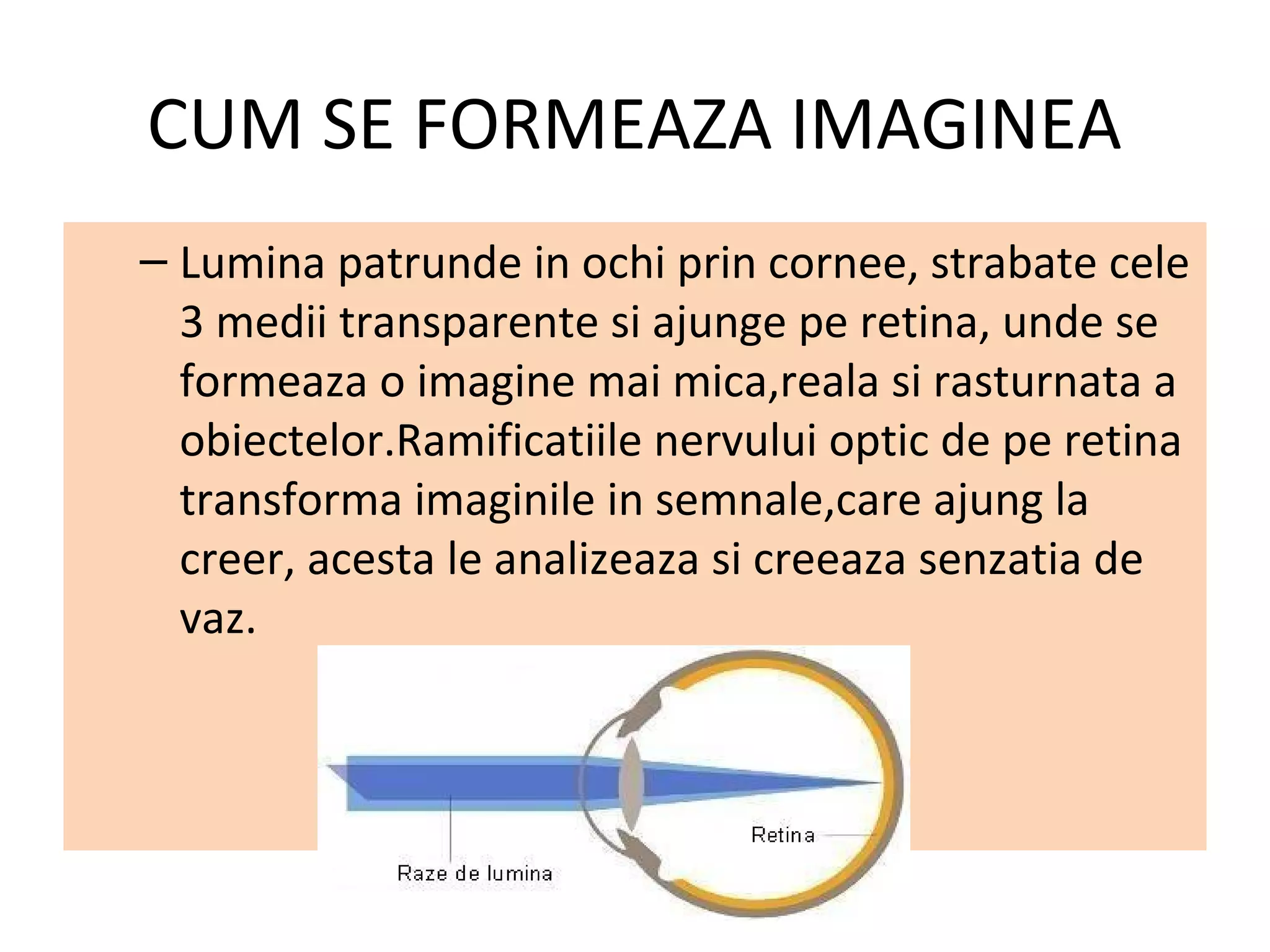 Ochiul. defecte de vedere | PPT