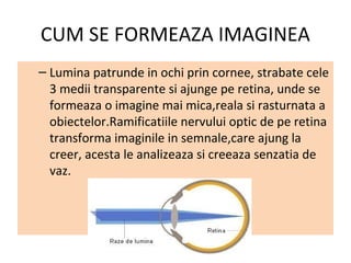 Ochiul. defecte de vedere | PPT