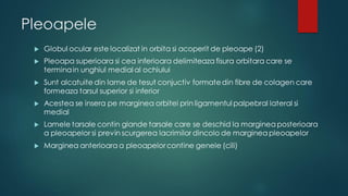 prezentare anatomie anul doi md ochiul.pdf