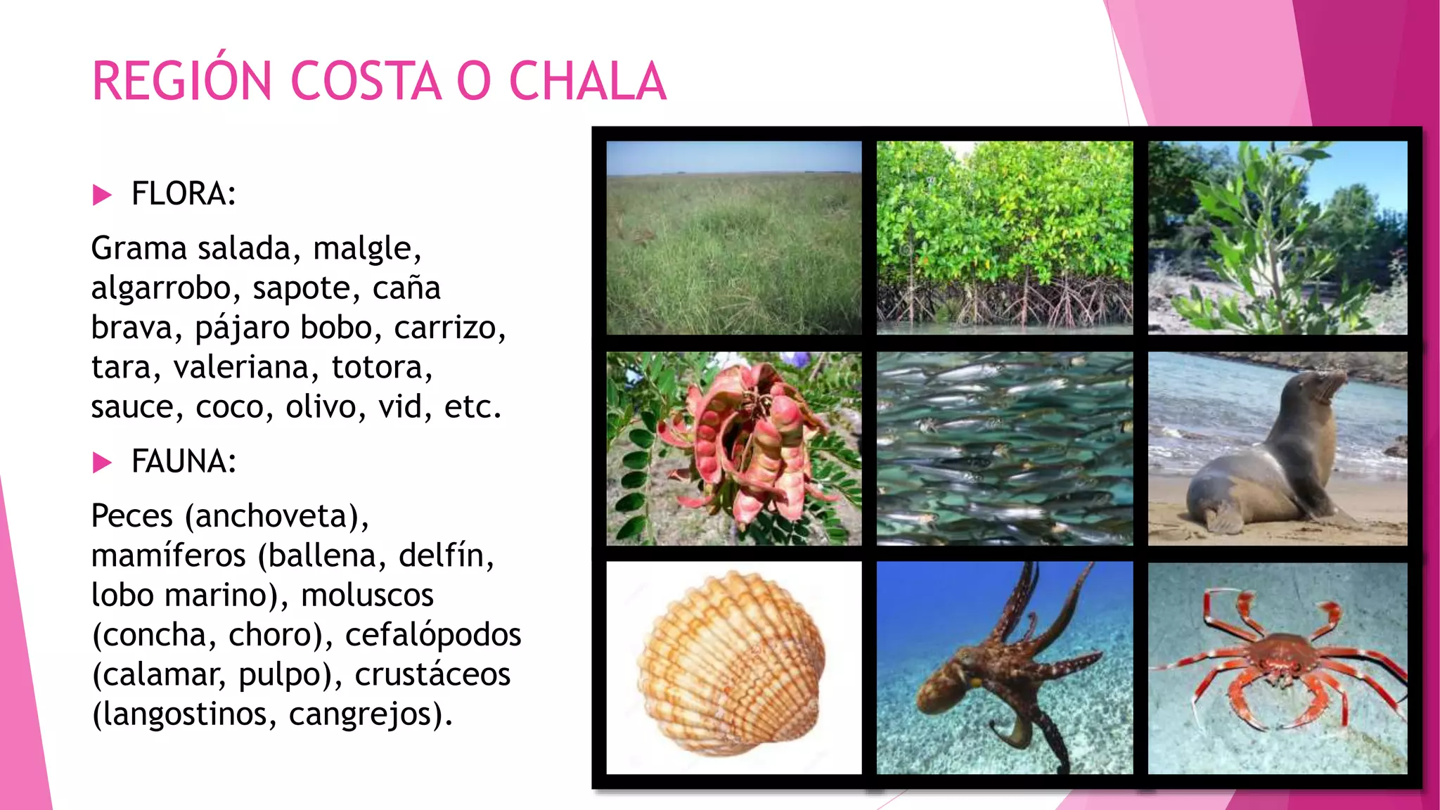 OCHO REGIONES NATURALES DEL PERÚ I.pptx