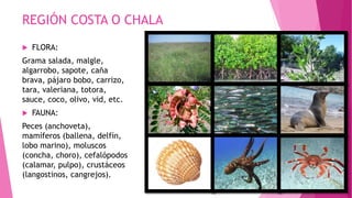OCHO REGIONES NATURALES DEL PERÚ I.pptx