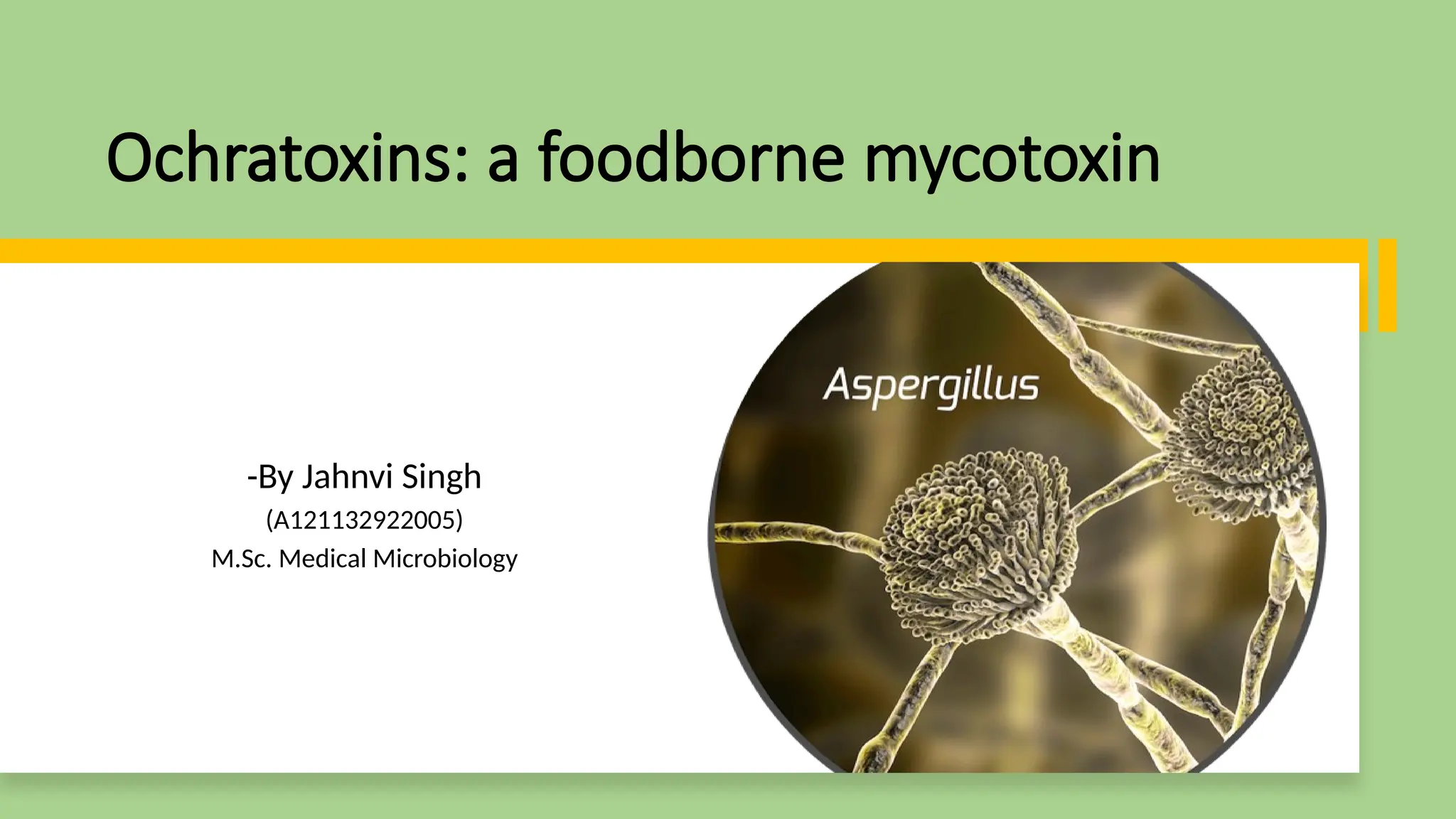 Ochratoxin: a foodborne mycotoxin by Jahnvi | PPTX
