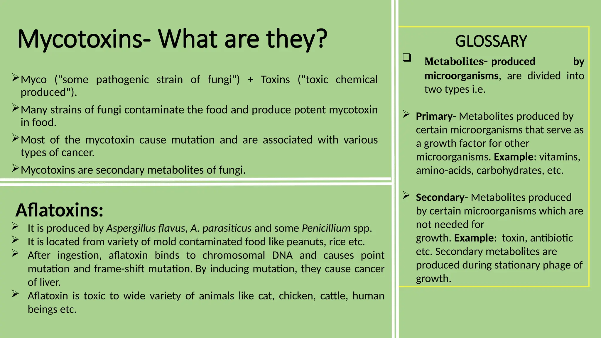 Ochratoxin: a foodborne mycotoxin by Jahnvi | PPTX