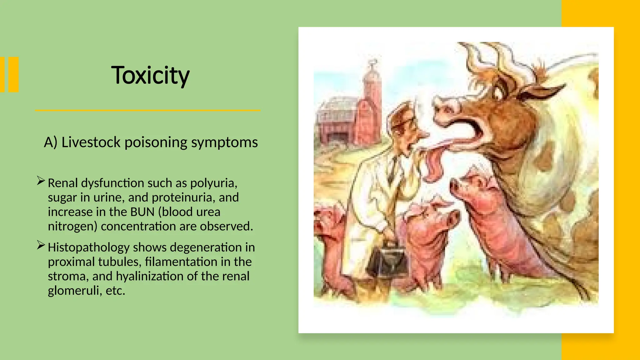 Ochratoxin: a foodborne mycotoxin by Jahnvi | PPTX
