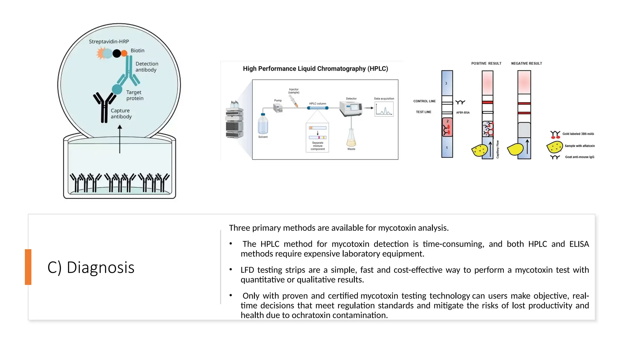Ochratoxin: a foodborne mycotoxin by Jahnvi | PPTX