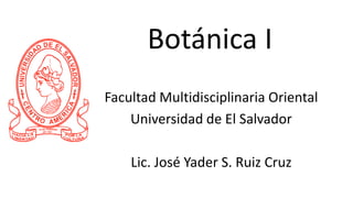 OCHROPHYTA (Características, morfología).pdf