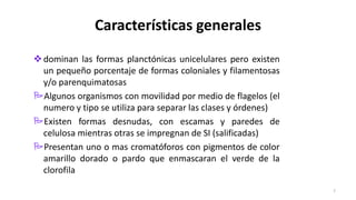 OCHROPHYTA (Características, morfología).pdf