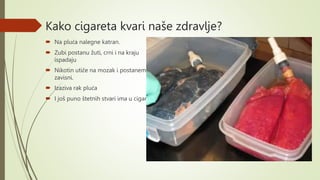 O cigareti.pptx