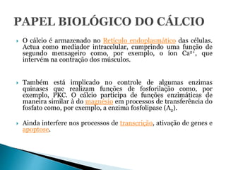 O cálcio | PPTX