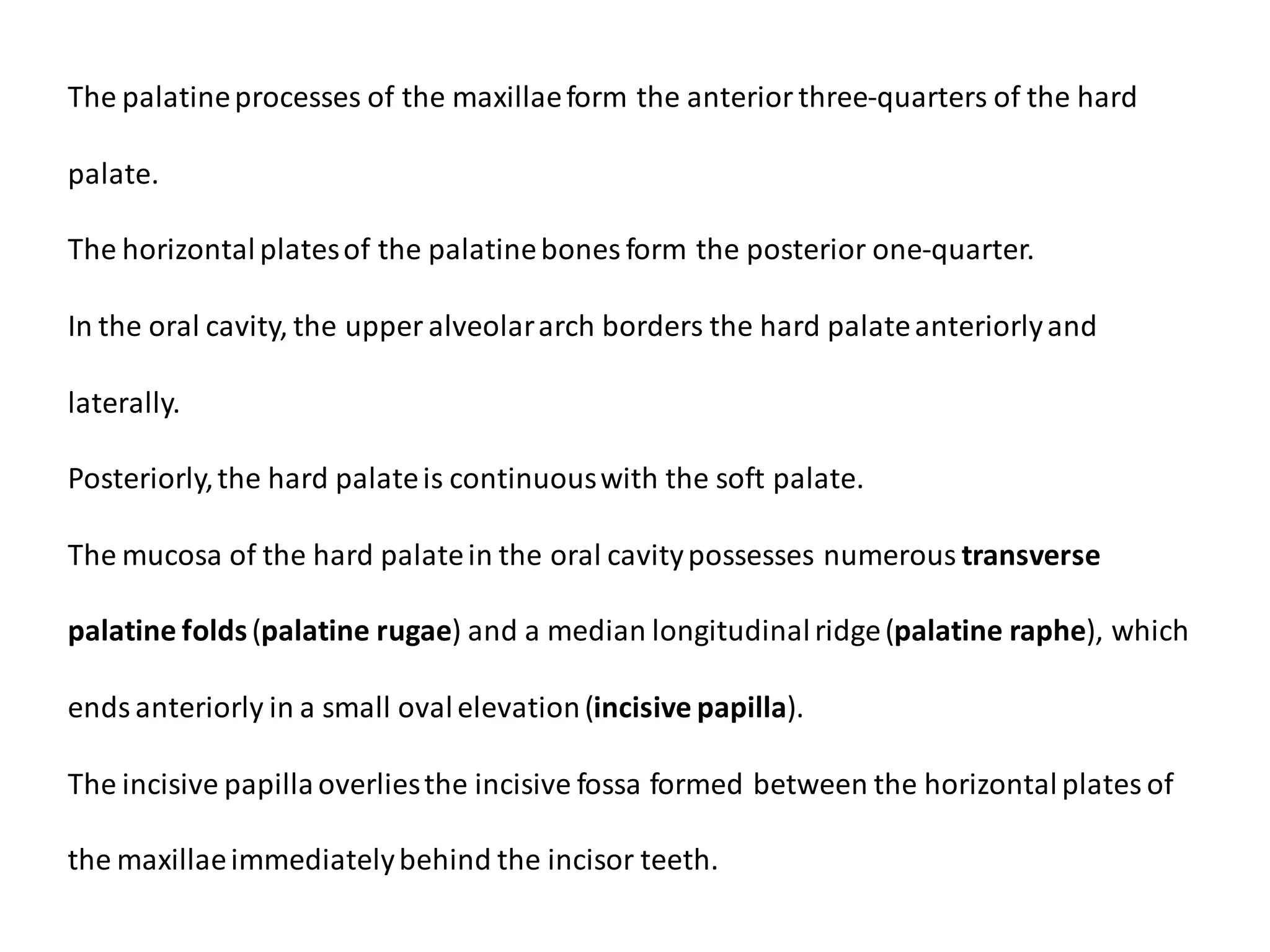 Oral Cavity - The divisions and Boundaries | PDF