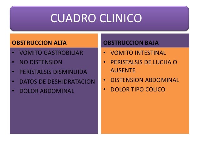 Oclusión intestinal 2012