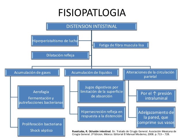 Oclusion intestinal. Diangóstico y tratamiento.