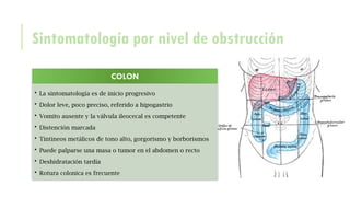 oclusion intestinal, causas y manejo medico ppt | PPTX