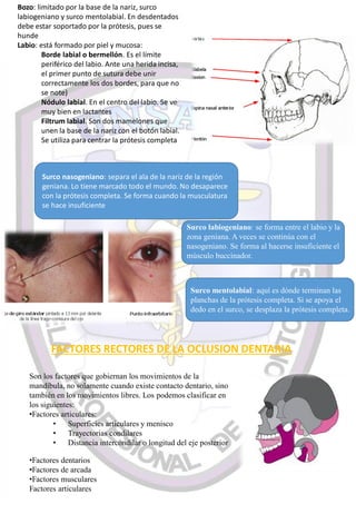Resumen Final Oclusión Dental, RELACION CENTRICA, MAXIMA ...