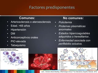 Oclusion venosa y arterial de retina | PPTX