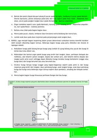 Manual Lapangan: Pembuatan Spesimen Herbarium | PDF