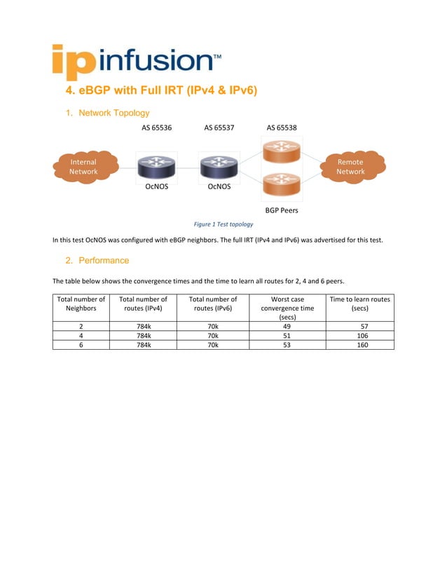 BGP Peering Test Report - IP Infusion | PDF | Computer Networking ...