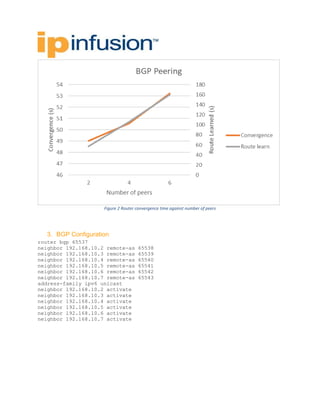 BGP Peering Test Report - IP Infusion | PDF | Computer Networking ...