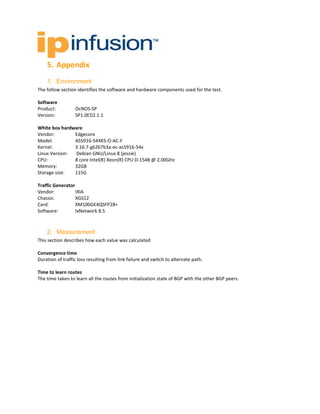 BGP Peering Test Report - IP Infusion | PDF