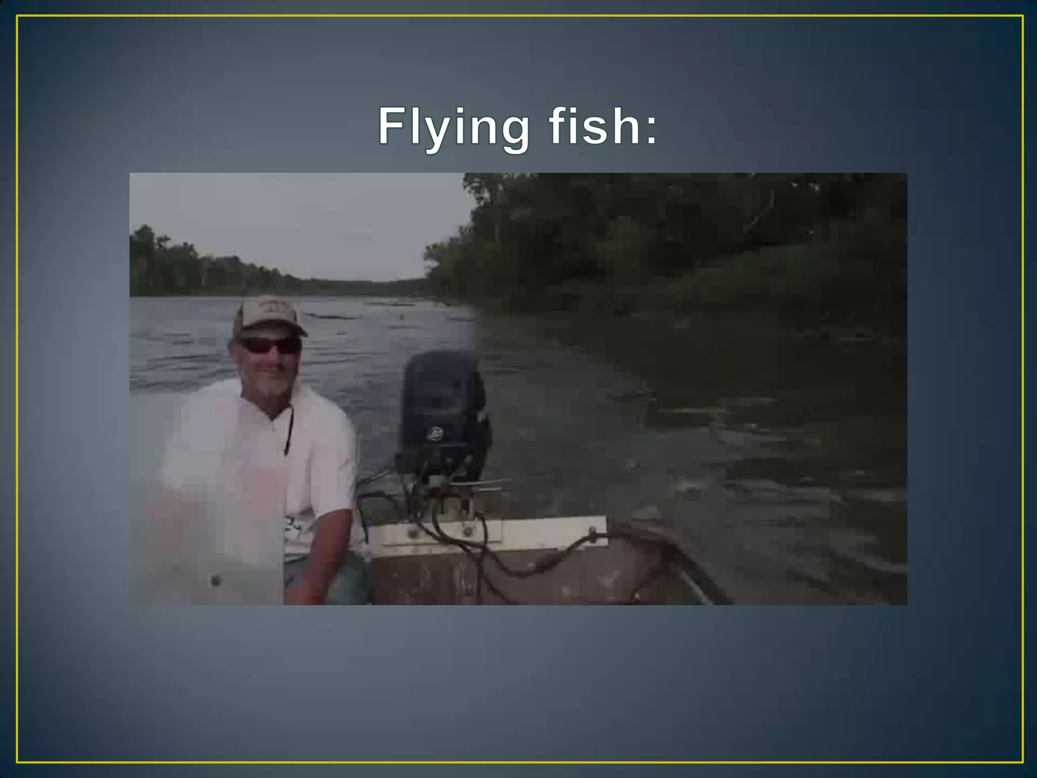 Asian Carp: An Invasive Species | PPTX