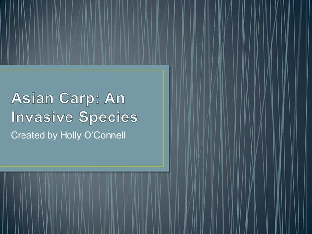Asian Carp: An Invasive Species | PPTX