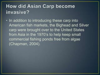 Asian Carp: An Invasive Species | PPTX