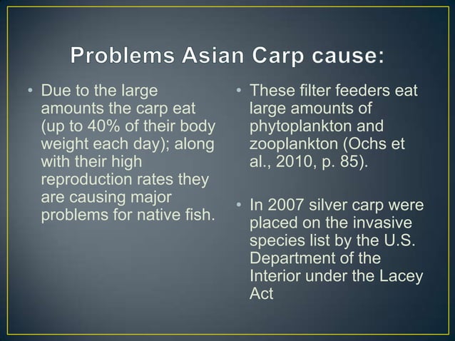 Asian Carp: An Invasive Species | PPTX