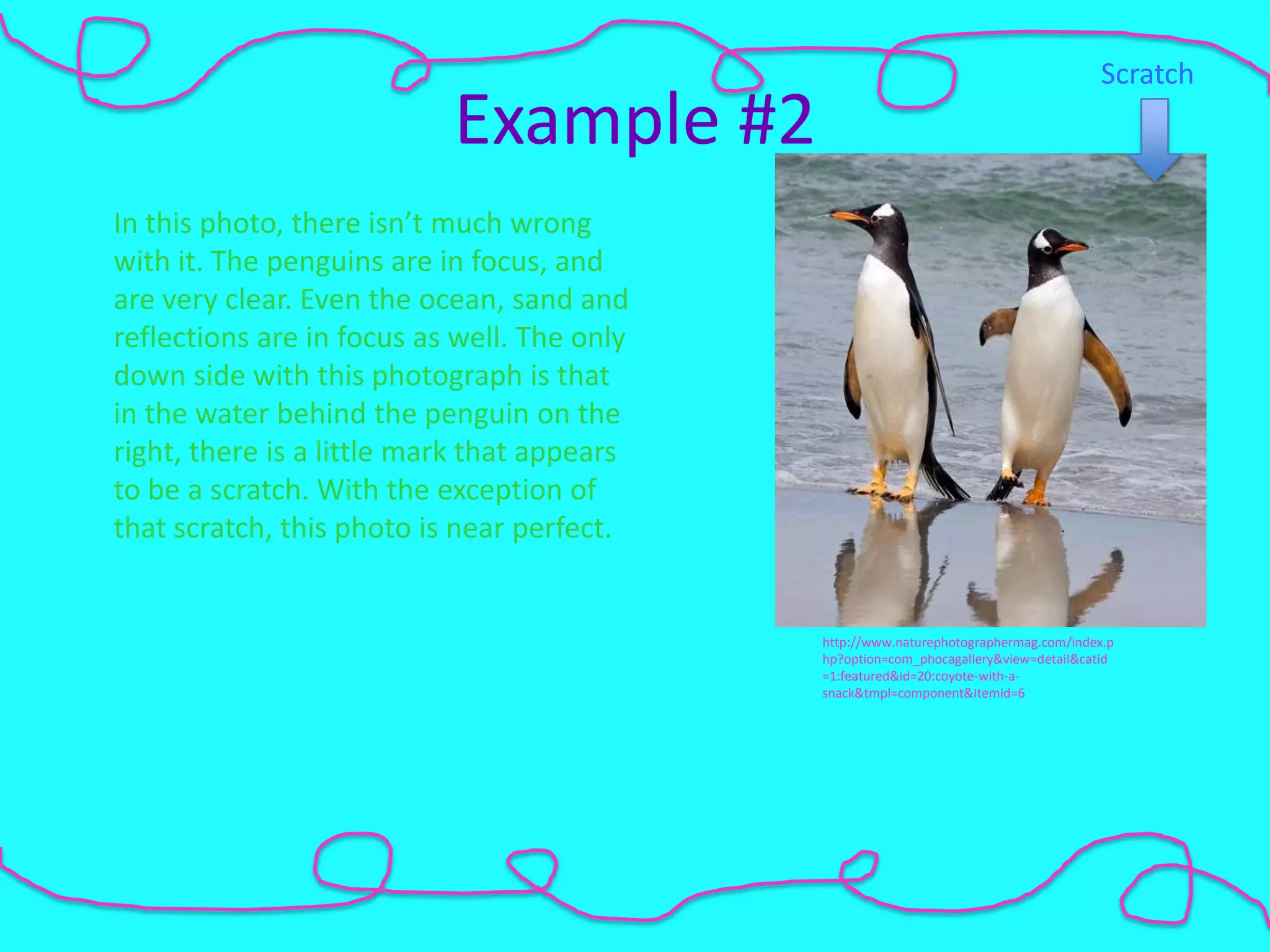 How to Properly Critique a Photograph | PPTX