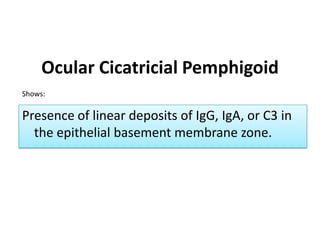 Ocular Cicatricial Pemphigoid | PPTX | Eye and Vision Conditions ...