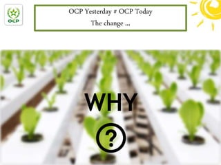 Ocp final case | PPTX