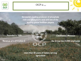 Ocp final case | PPTX