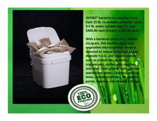 OCP&E 2013 summer sales catalog with order form | PPT