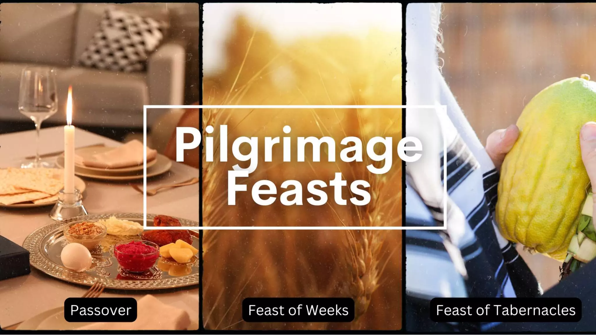 Unity is a Blessing | PPTX