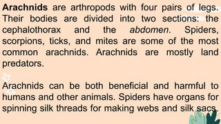 OCT 20-24-INVERTEBRATES Animals Science Grade 6 | PPTX