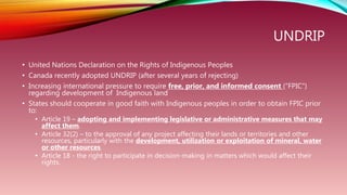 How Indians Hold Land | PPTX | Law