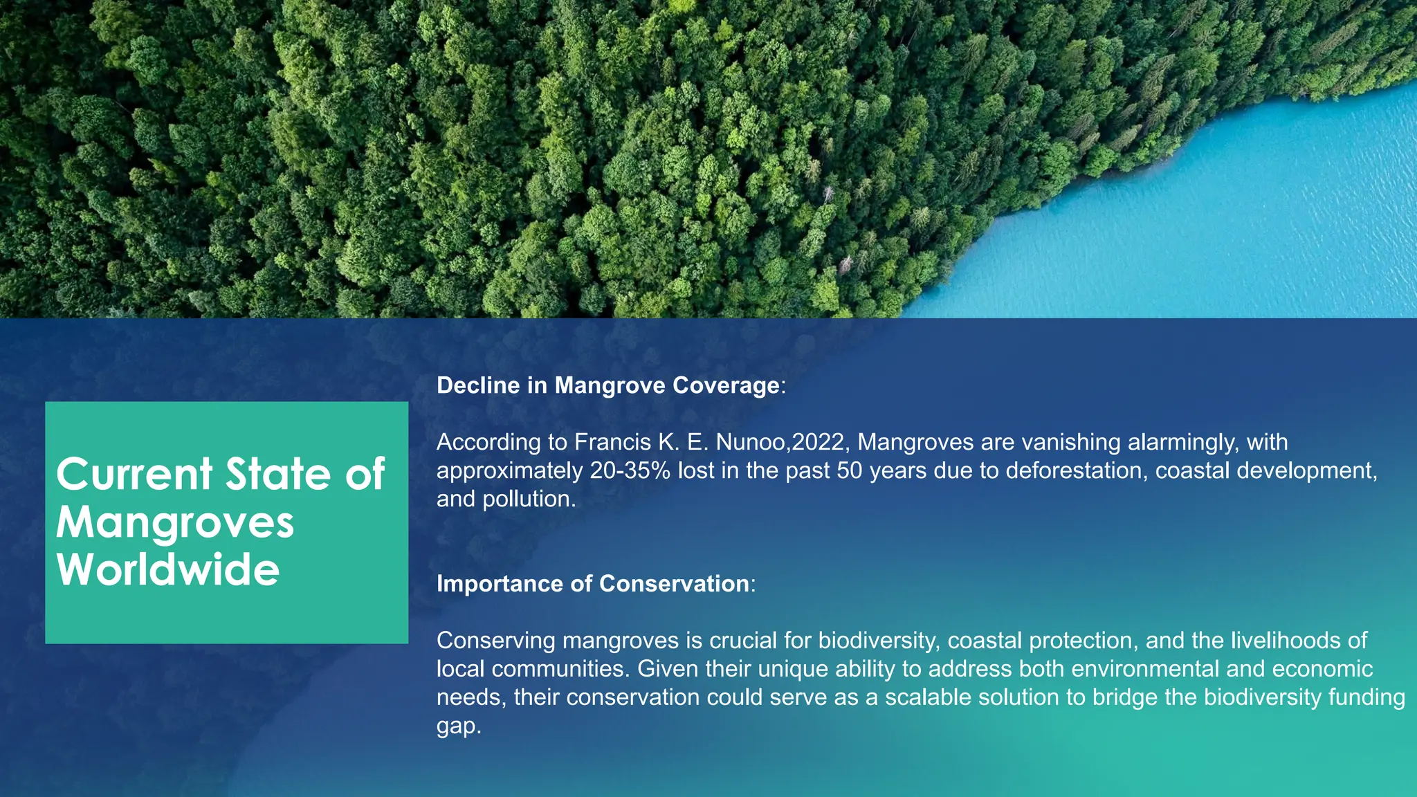 Mangroves: An innovation solution to address the biodiversity funding gap | PDF