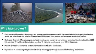 Mangroves: An innovation solution to address the biodiversity funding ...