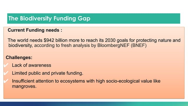 Mangroves: An innovation solution to address the biodiversity funding ...