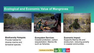 Mangroves: An innovation solution to address the biodiversity funding ...