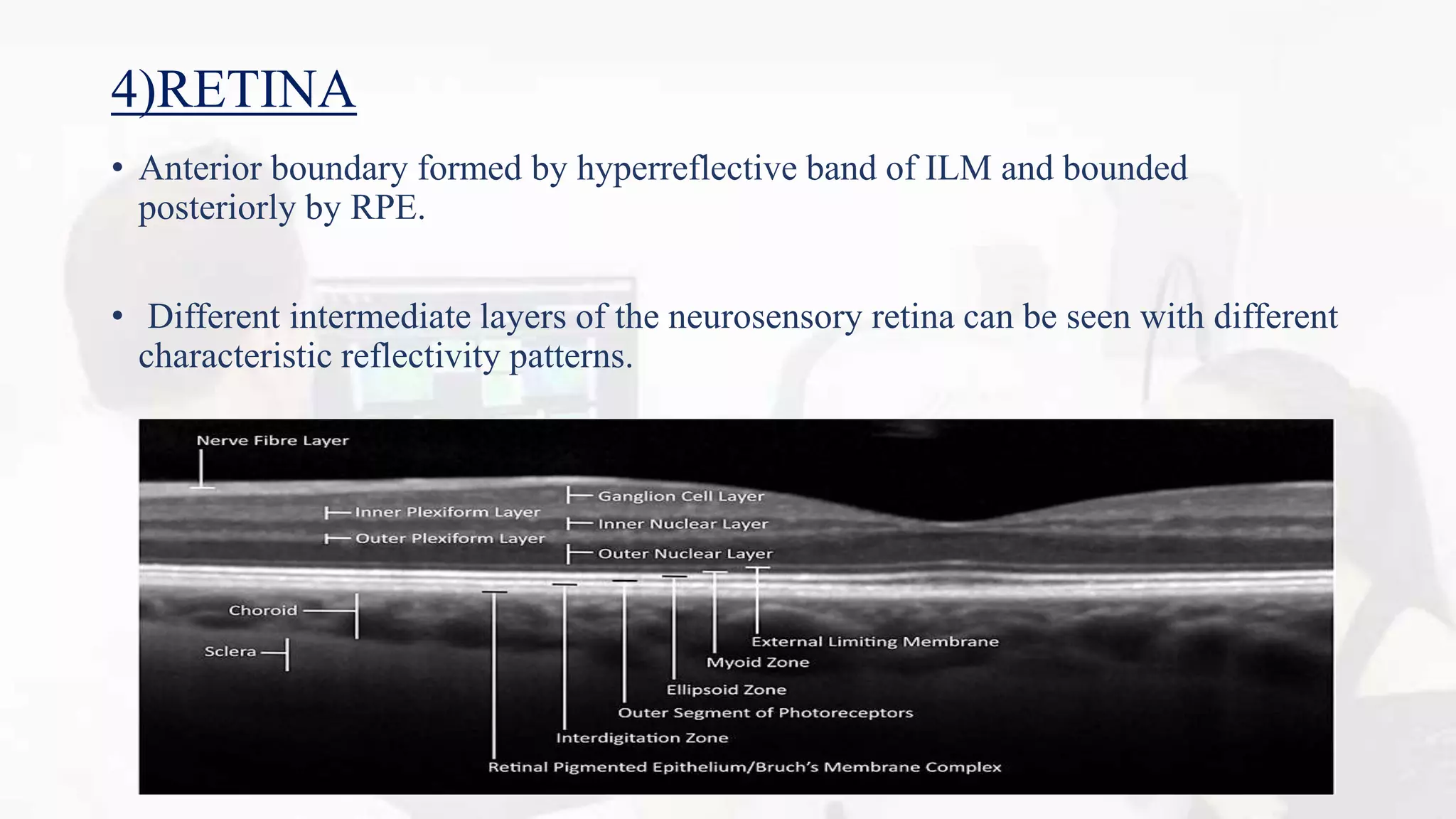 OCT MACULA INTERPRETATION. | PPTX